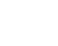 Toyota: Driving Brand Awareness and Traffic | MGID